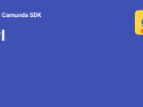 Api Python Camunda Sdk