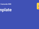 Template Python Camunda Sdk