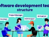 Software Development Team Structure