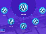 Wordpress Multisite What It Is How To Create And Manage 2024