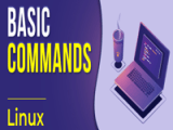 Basic Linux Commands Geeksforgeeks Videos