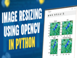Image Resizing Using Opencv In Python Geeksforgeeks Videos