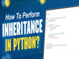 Inheritance In Python Geeksforgeeks Videos