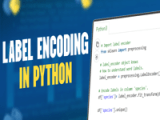 Label Encoding In Python Geeksforgeeks Videos