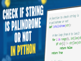 Python Program To Check If A String Is Palindrome Or Not