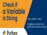 Python Program To Check If A Variable Is String Geeksforgeeks Videos