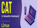 Cat A Versatile Command In Linux Geeksforgeeks Videos