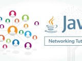 Java Networking Geeksforgeeks