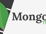 Python Mongodb Tutorial Geeksforgeeks