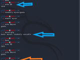 Shell Scripting Readonly Command Geeksforgeeks