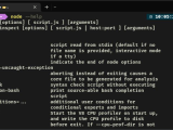 Command Line Flags By The Node Binary Geeksforgeeks