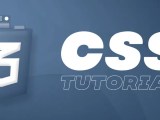 Css Tutorial Geeksforgeeks