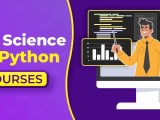 10 Best Python Data Science Courses Online 2025 Geeksforgeeks