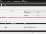 Spring Boot Eureka Server Geeksforgeeks