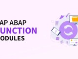 Sap Abap Function Modules Geeksforgeeks