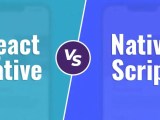 Nativescript Vs React Native Which One To Choose In 2025 Geeksforgeeks