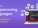 How Many Programming Languages Should A Software Engineer Know