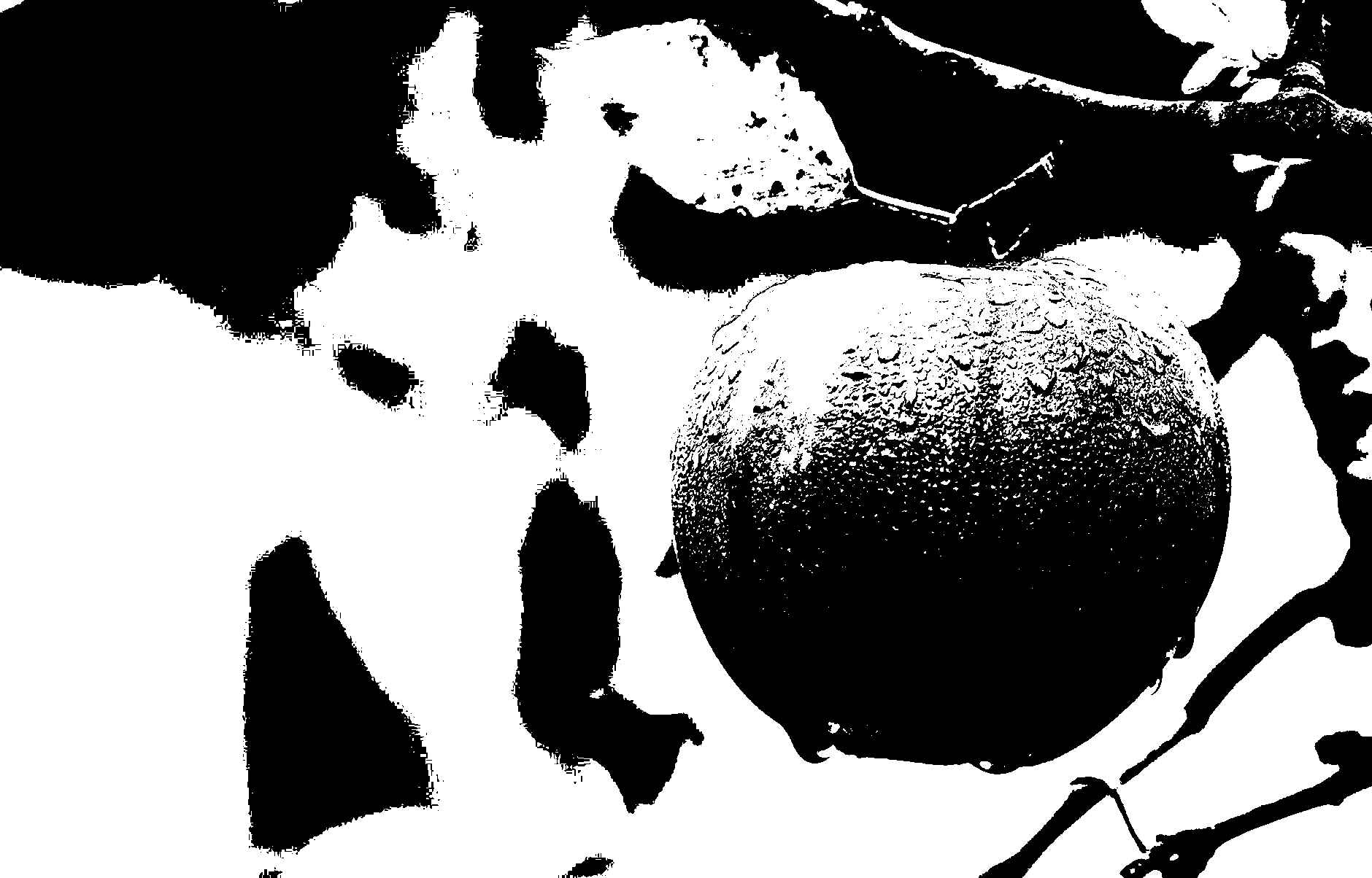 MATLAB Converting A Grayscale Image To Binary Image Using matlab-converting-a-grayscale-image-to-binary-image-using