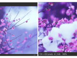 Python Image Library Crop