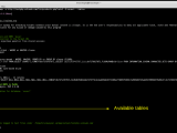 How To Use Sqlmap To Test A Website For Sql Injection Vulnerability
