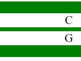 Css Grid Template Columns Property Geeksforgeeks