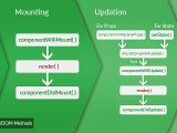 Reactjs Lifecycle Of Components The Coding Bus