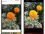 Wallpapers Blur Iphone How To Blur Background Of Photo On Iphone