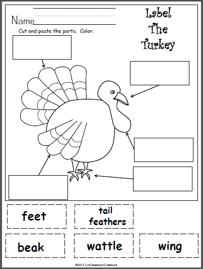 Parts Of A Feather Worksheet : Label Parts Of The Owl Worksheets For ...