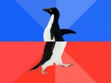 Your Code Github Code Socially Awkward Awesome Penguin Meme Generator