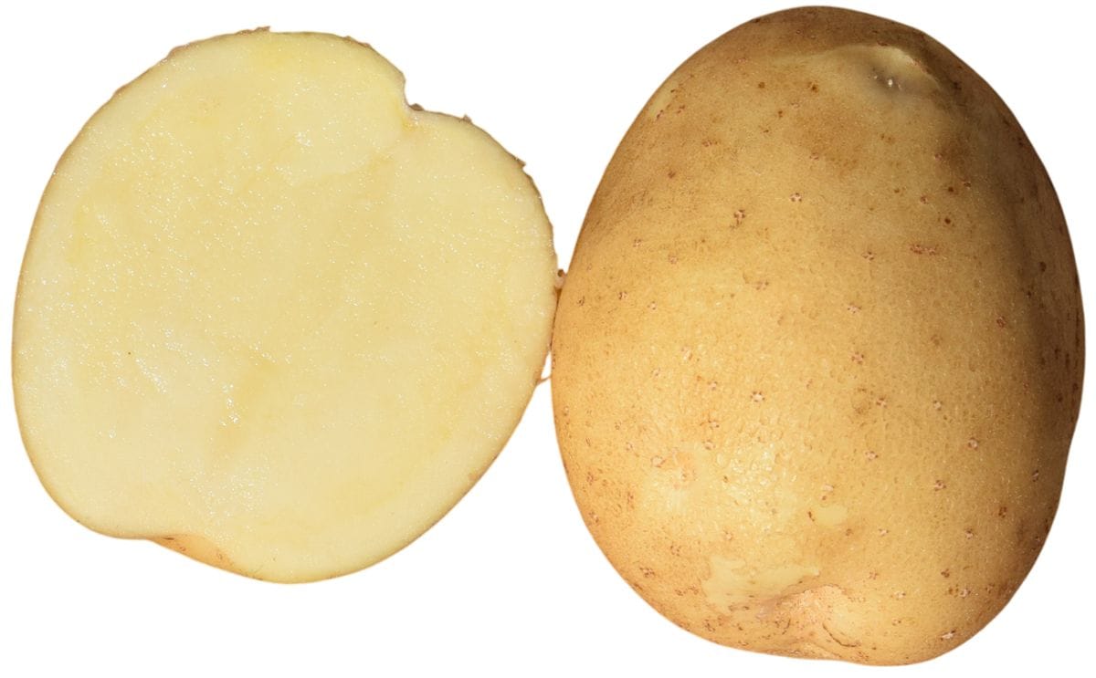 Unity One International Moa Potatopro