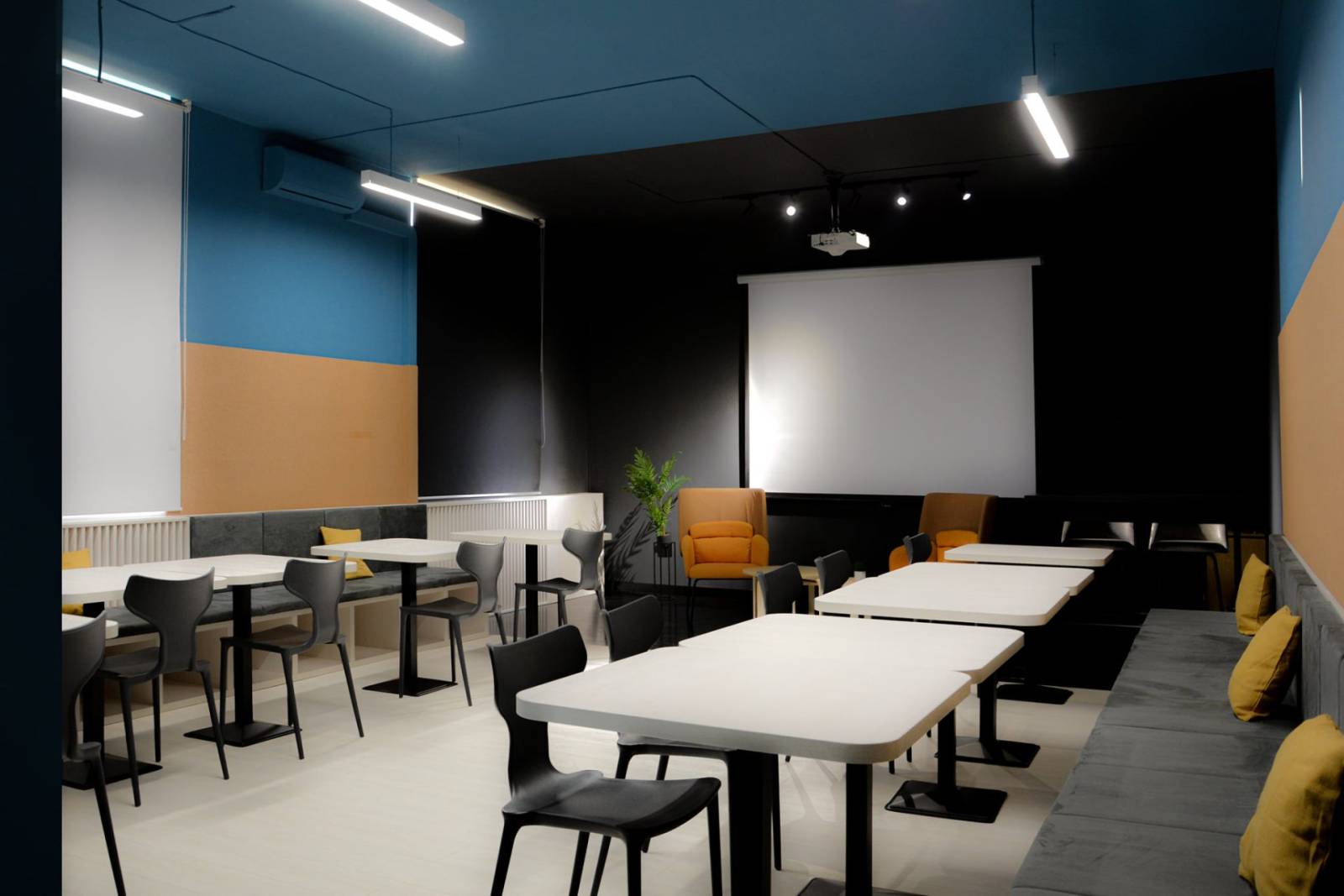 Canopy contribuie la realizarea Creative Business Lab, laborator modern ...