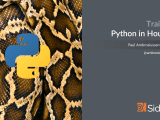 Python Scripting Sidefx