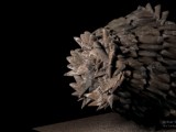 Vastness Alien Sidefx