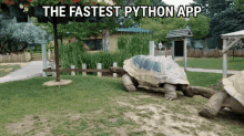 Python Meme Python Discover Share Gifs - Light Photo Collection - 4K Quality