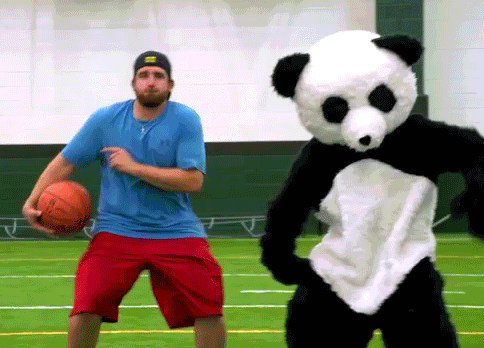 Tired Panda Gif