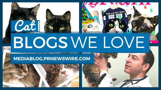 Blog Profiles: Cat Bloggers | Beyond Bylines