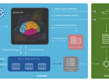 Custom Brain