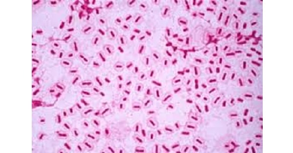 Cephalosporin - www.medicoapps.org