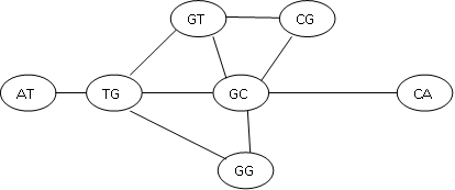 Euler’s Trail, Hamiltonian Path and DNA Sequencing – Computation
