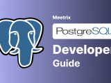 Postgresql Developer Guide