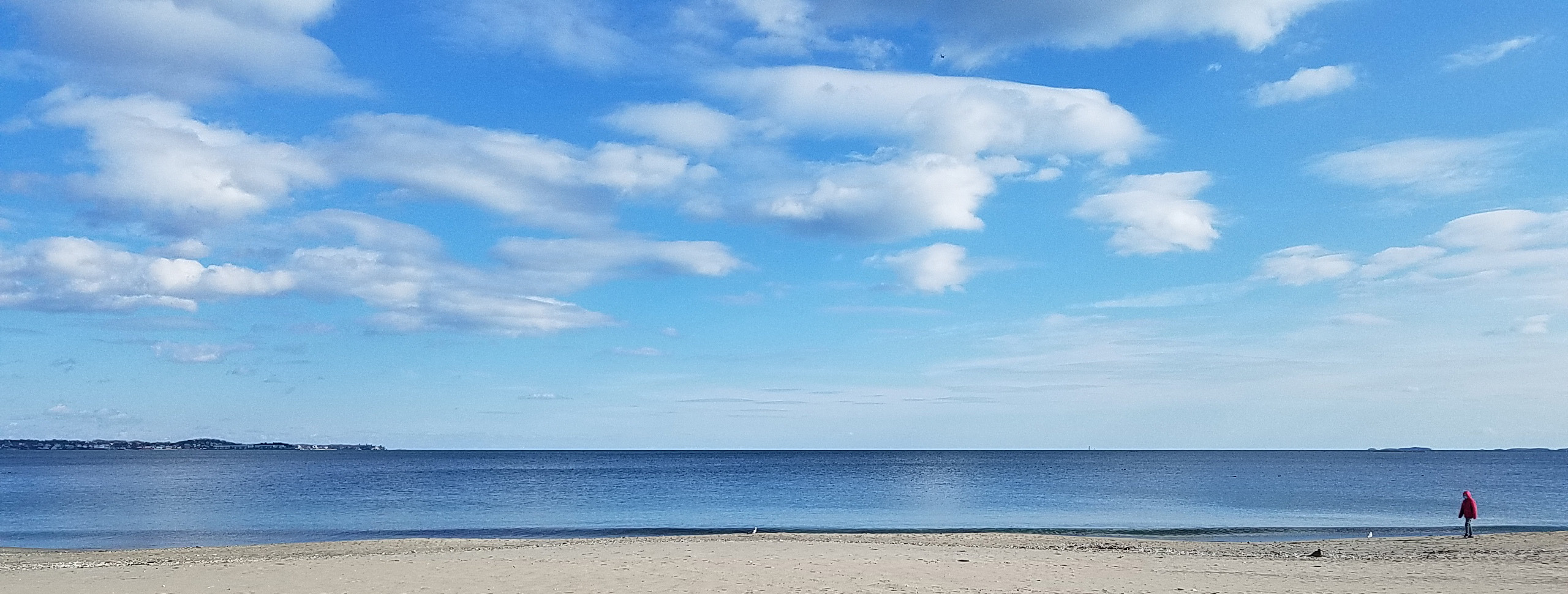 Beach Bubble | MEHopper