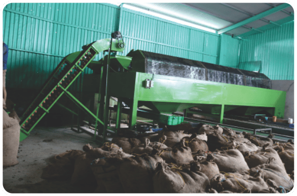 Stone Removing Machine