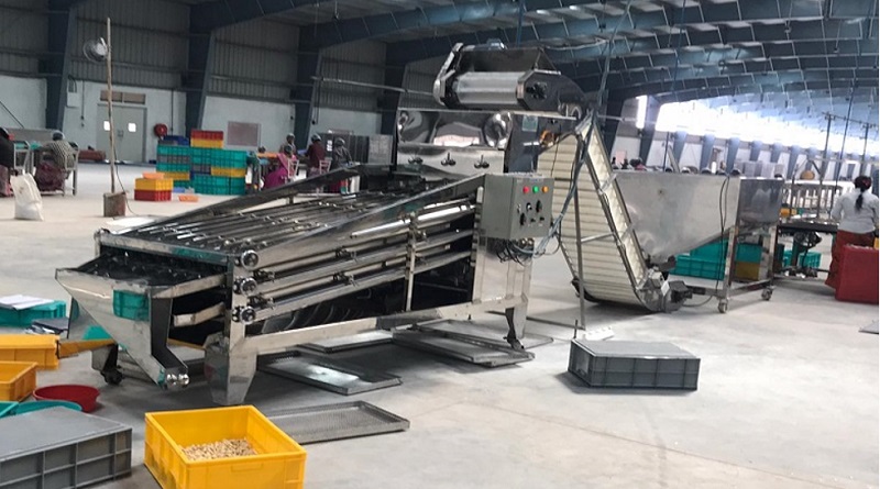 The modern Cashew kernel grading machine, capacity 600 kg/hour - MEKONG ...