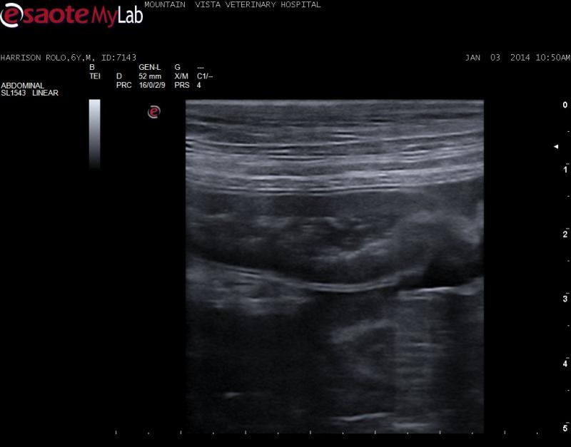 Treatment for PLE