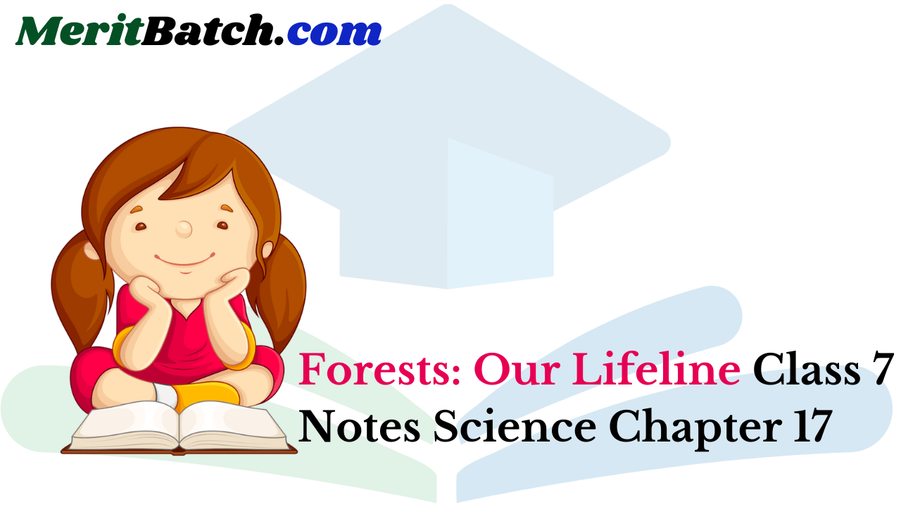 Forests: Our Lifeline Class 7 Notes Science Chapter 17 – Merit Batch