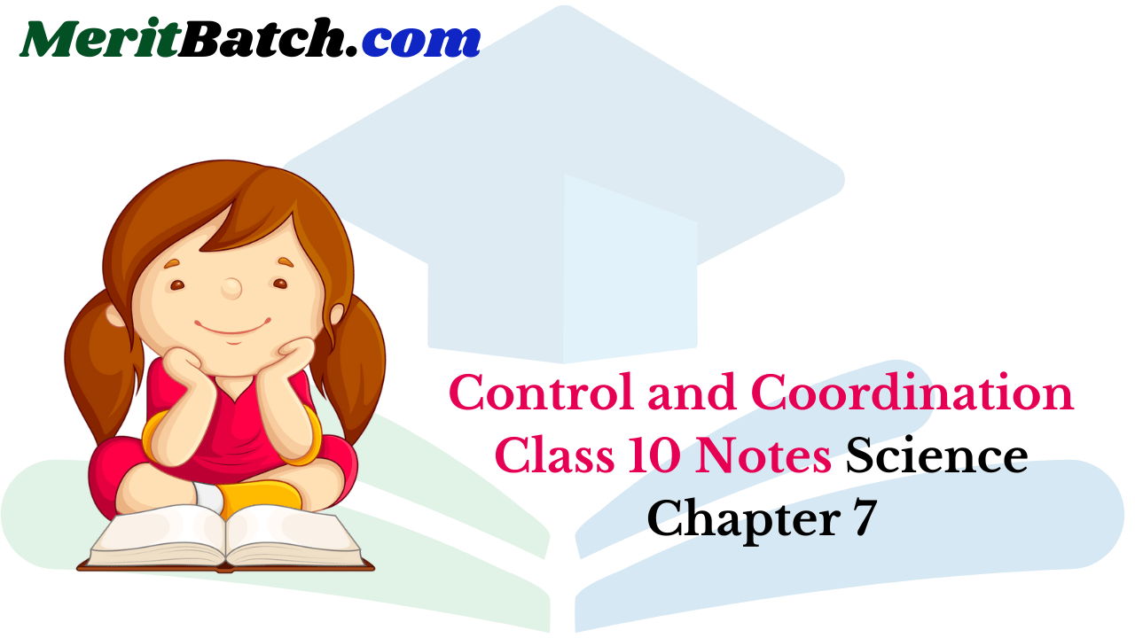 Control and Coordination Class 10 Notes Science Chapter 7 – Merit Batch