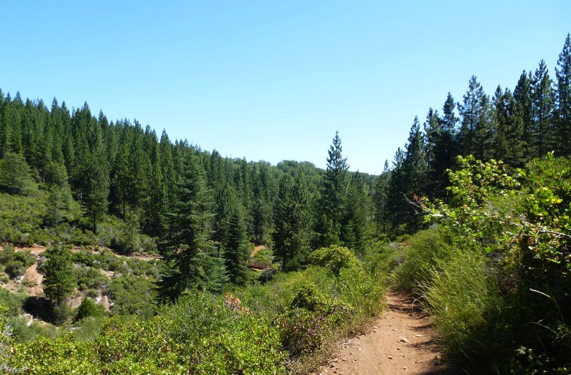 Ride shots – Meriwether Cycles