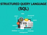 Sql Lг Gг Tг M Hiб ѓu Tб Ng Quan Vб ѓ вђњstructured Query Languageвђќ