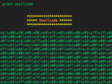 Shellsilo Simplifying Syscall Assembly And Shellcode Creation
