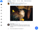 How To Use The Bluesky Social Media App